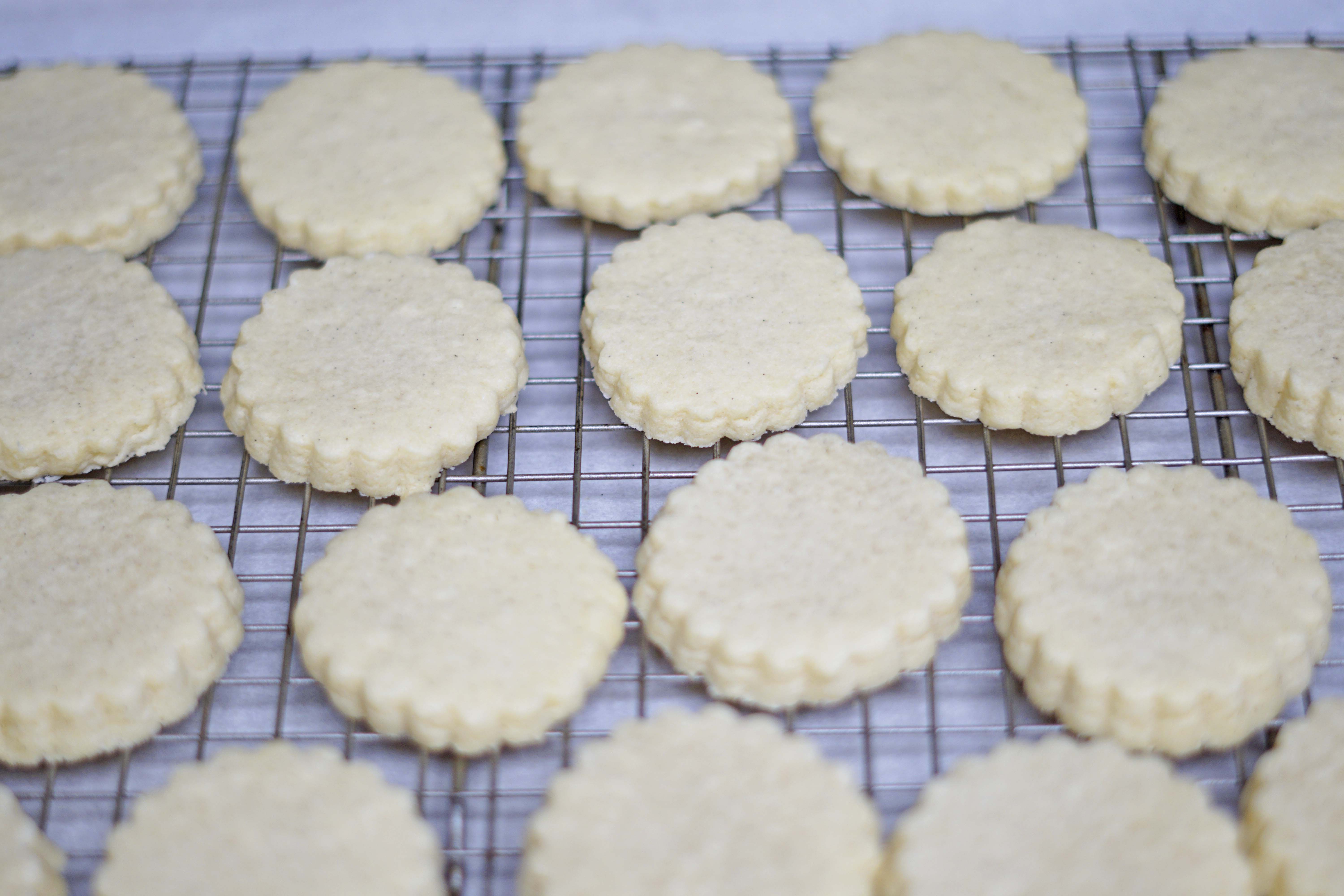 Are sugar cookies that don’t spread a myth? – Allie and the Oven